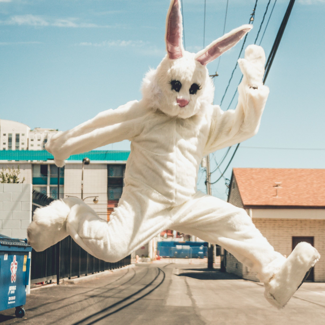 A Person Dressed As An Easter Bunny